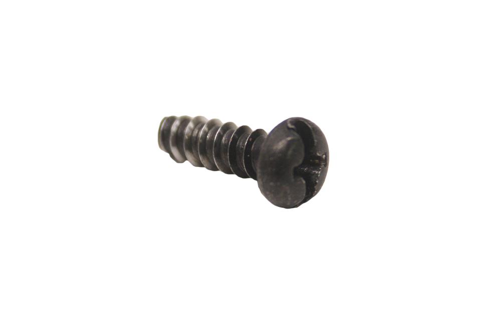 Echo 4X12mm Screw 90025304012 | SawAgain
